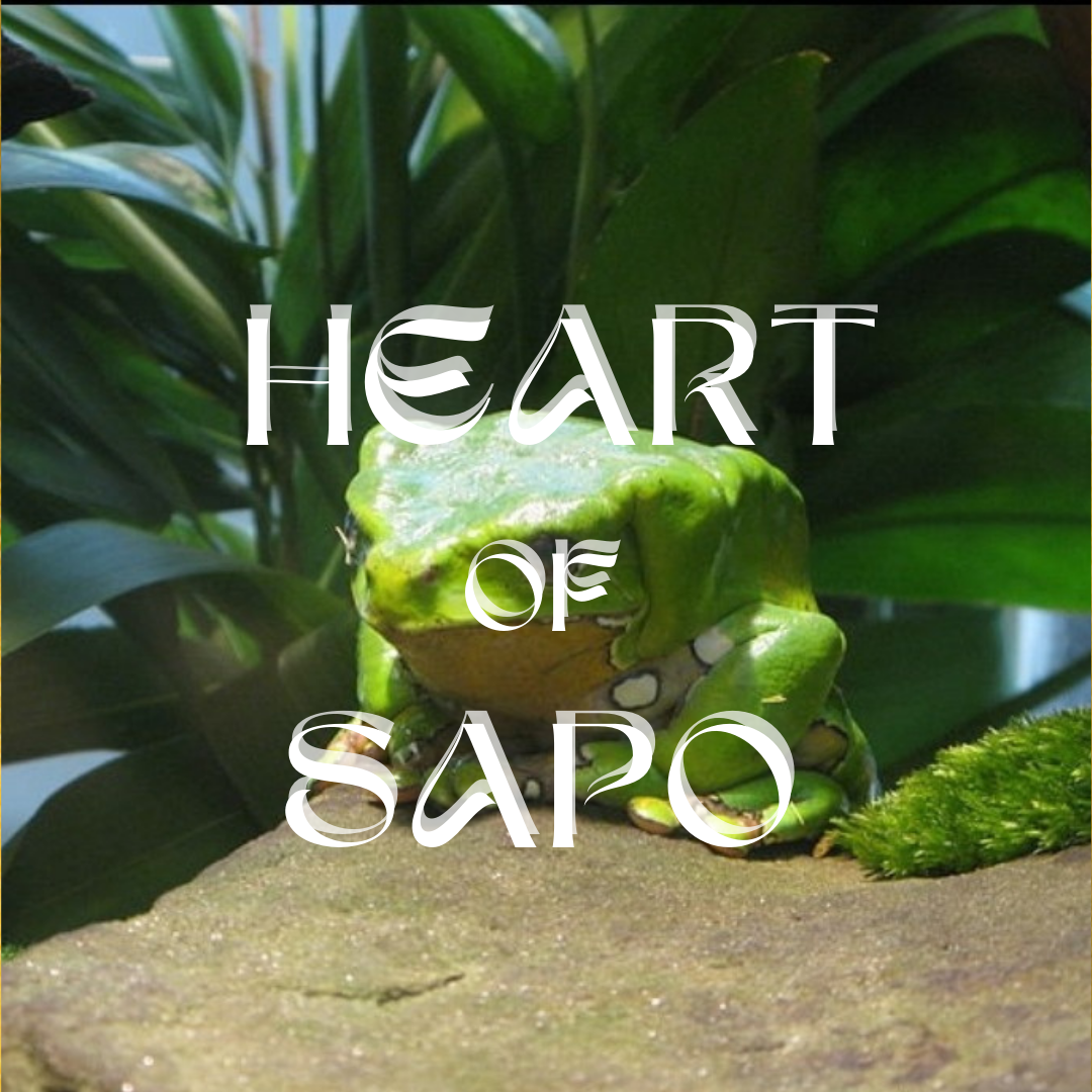 Heart of Sapo